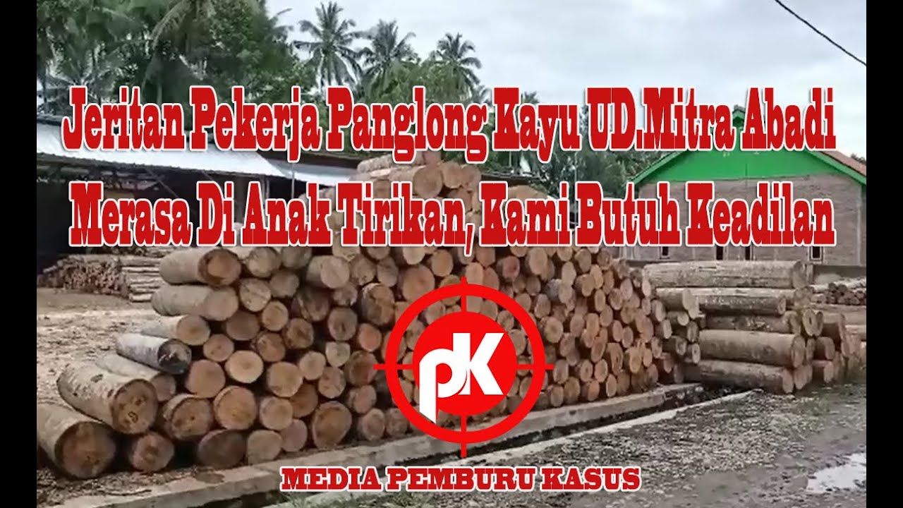 Jeritan Pekerja Panglong Kayu UD.Mitra Abadi,Merasa Di Anak Tirikan ...
