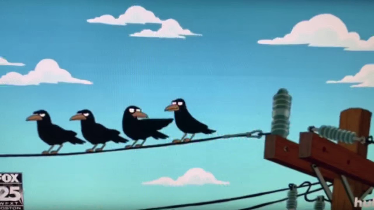 Family Guy funny animals - YouTube