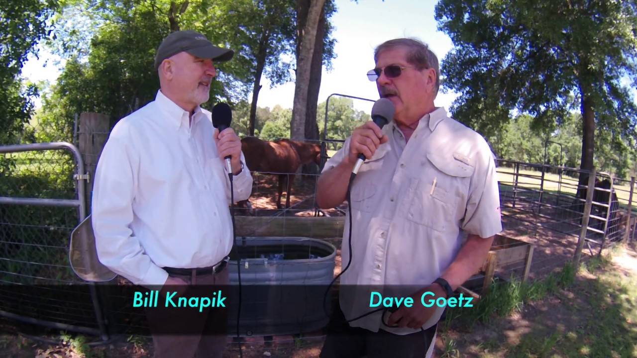 SLS #182 Dave Goetz, "Captain Dave" - YouTube