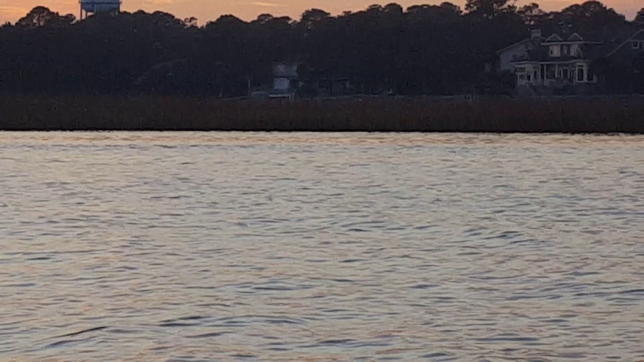 Grace and the dolphins - YouTube