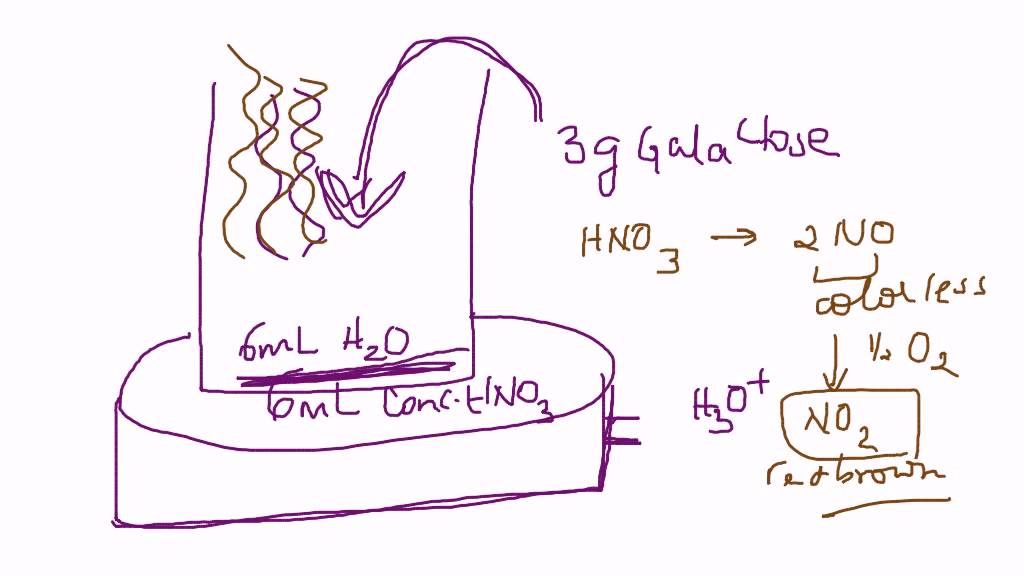 Lab instructions_Aldaric Acid - YouTube
