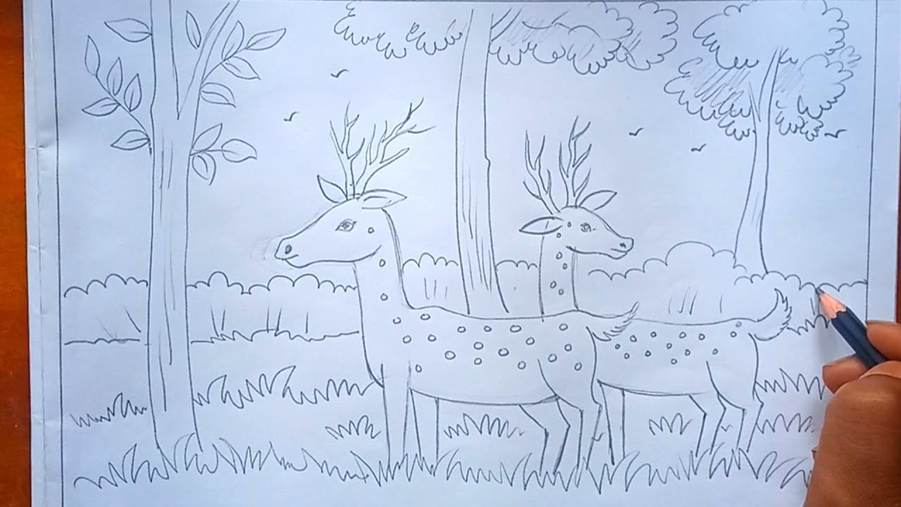 Deer scenery drawing/easy deer scenery drawing step by step/easy deer ...