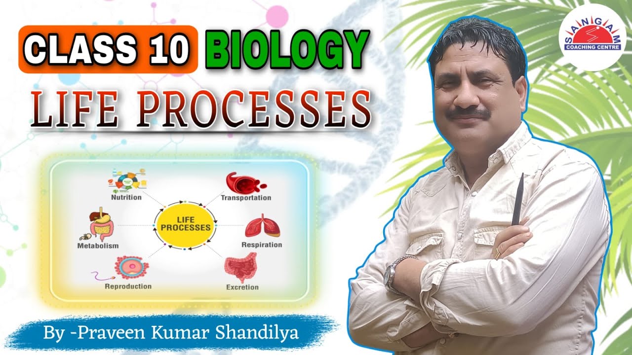 Life Processes // Class 10 Life Processes Biology // Part - 1 // Class ...