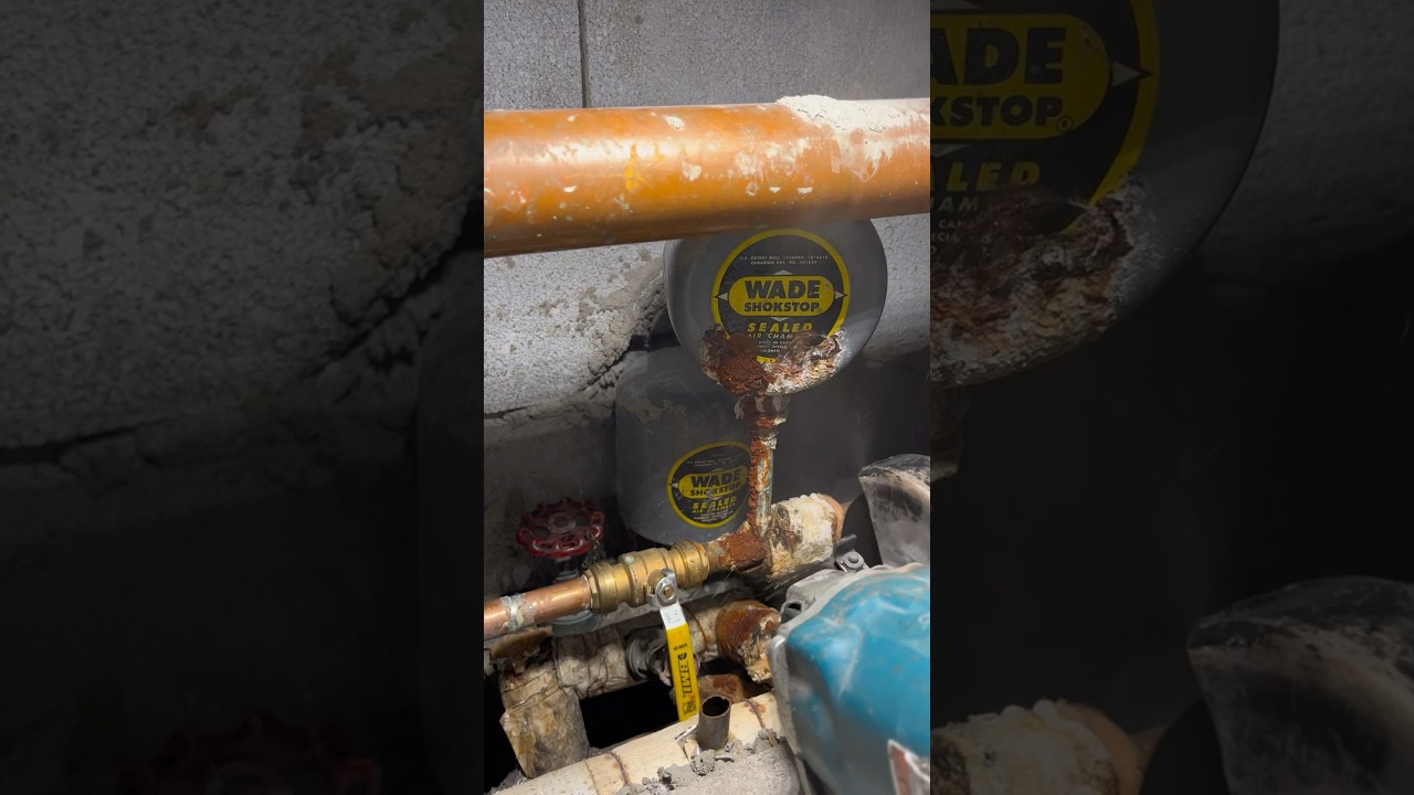 Water hammer arrestor leak! How old is this thing??? plumbing #shorts ...