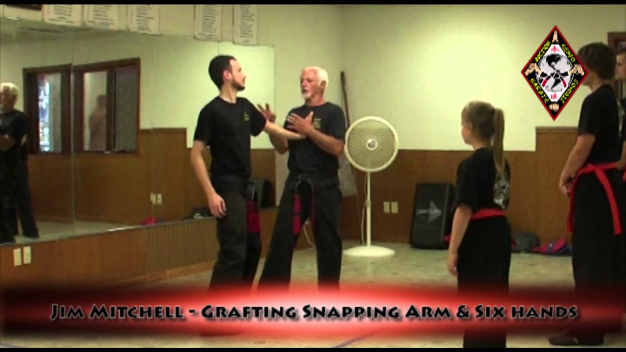 Kenpo Seminar Clip 5 - Grafting Snapping Arm & Six Hands - YouTube