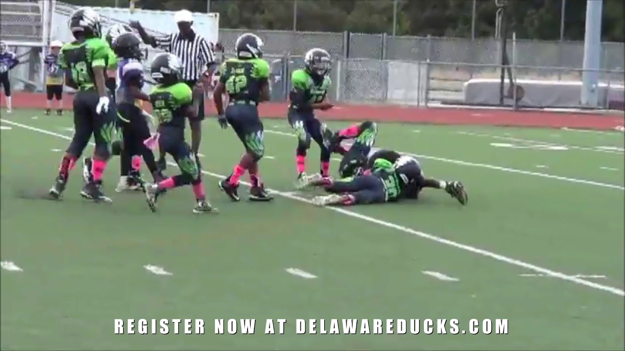 2018 Delaware Ducks - YouTube