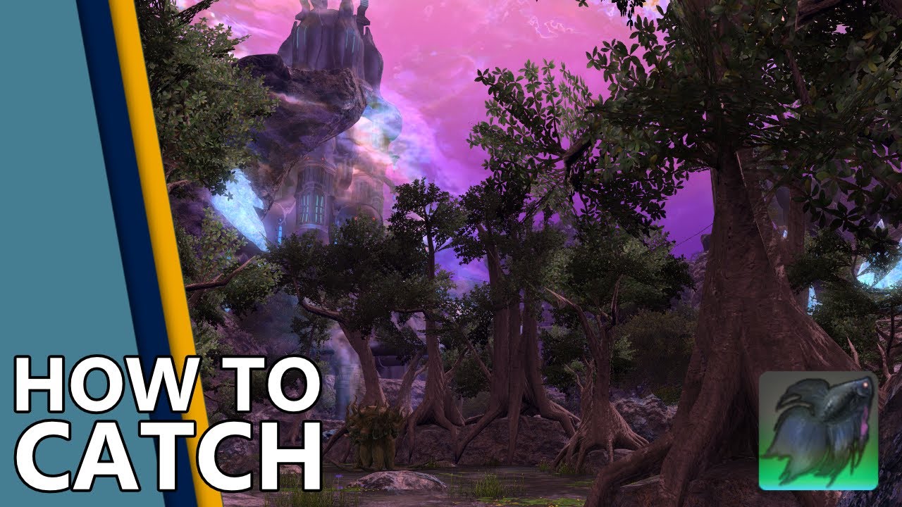 🌱How to catch Ninja Betta in FFXIV - YouTube