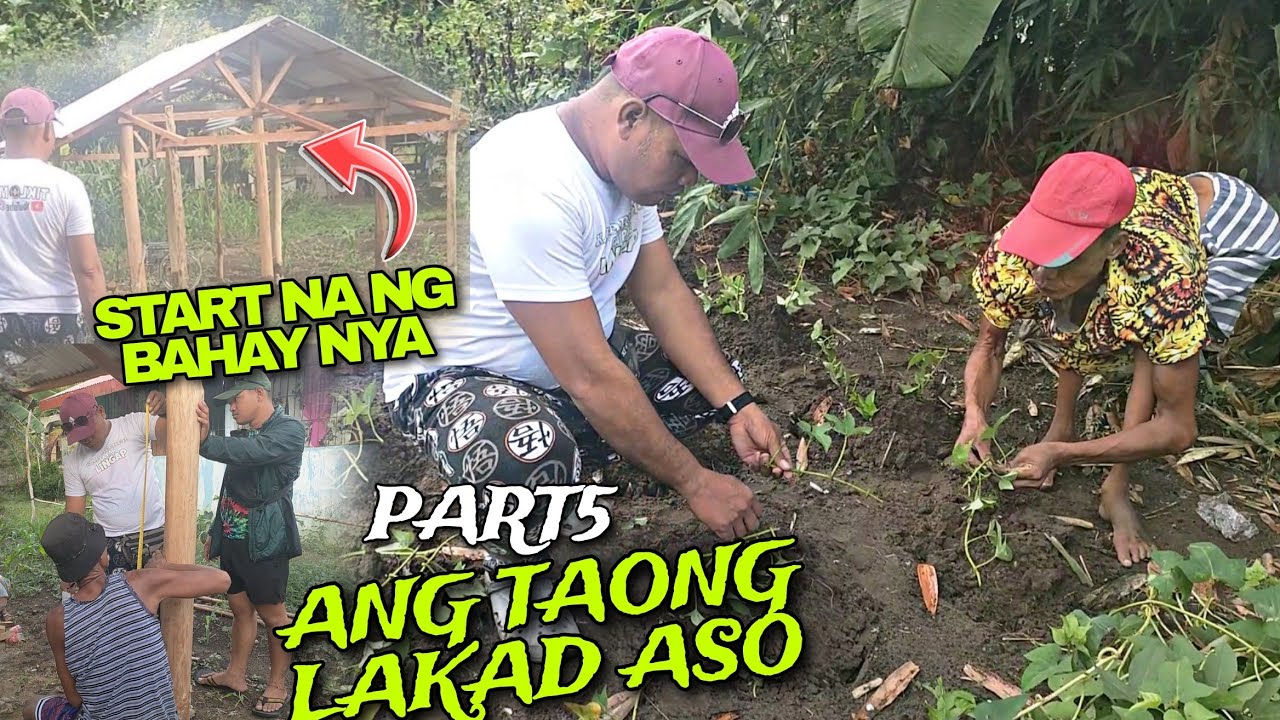PART5 🚫 ANG TAONG LAKAD ASO NAKATAYO NA ANG MGA HALIGE NG BAHAY - YouTube