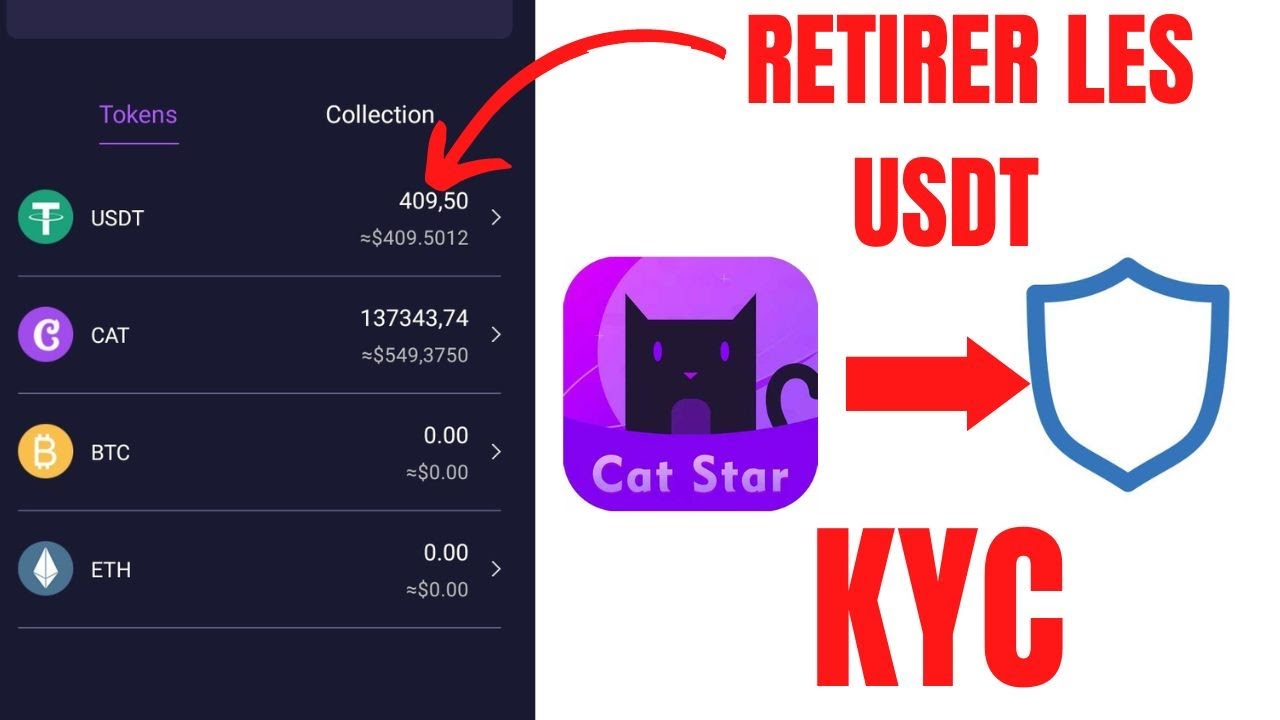CATSTAR MINING : Retirer les USDT et Passer le KYC - YouTube