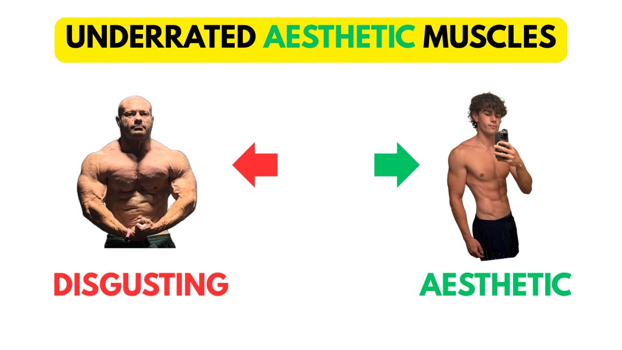 UNDERRATED AESTHETIC MUSCLES | TRAIN THESE NOW! - YouTube