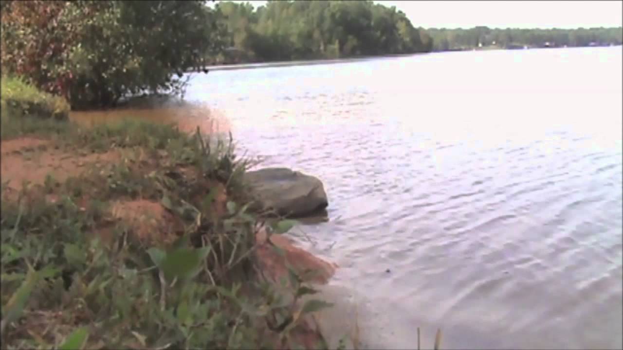 Moss Lake Footage - YouTube