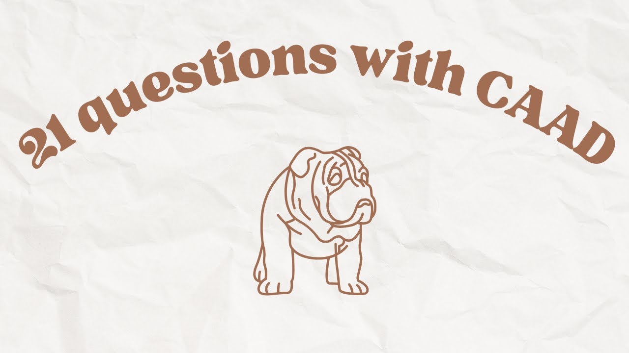 21 Questions with CAAD - Jeff Fulton - YouTube