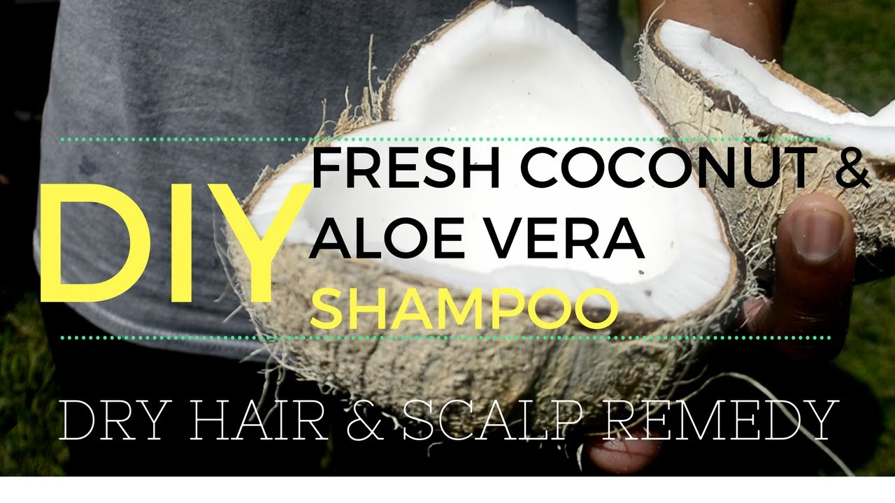 DIY Shampoo | Fresh Homemade Coconut Cream & Oil, and Aloe Vera Juice ...
