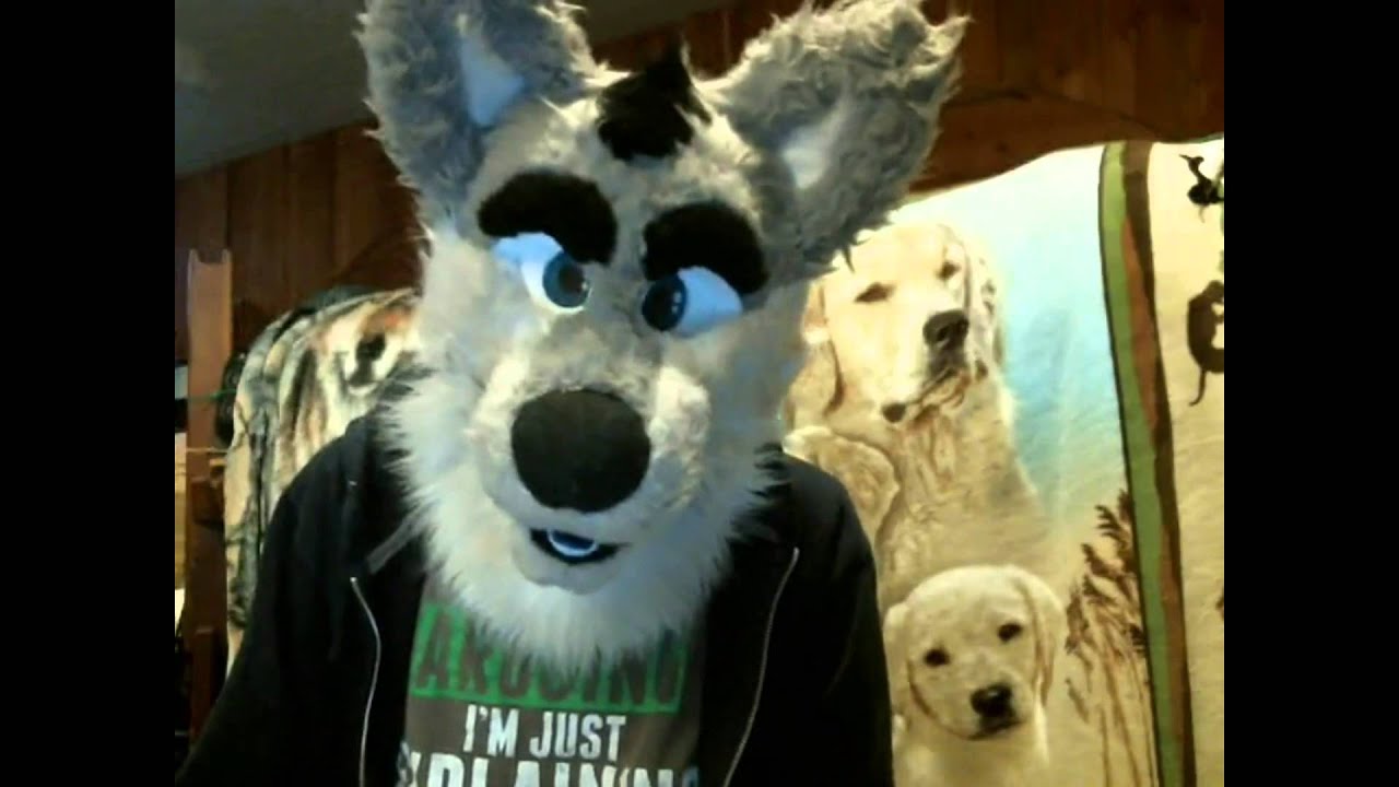 Maroon 5 - Love Somebody (Cover By Julien The Wolf) (Fursona Version ...