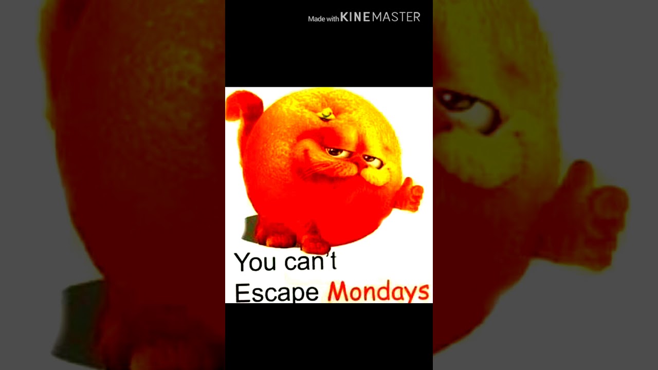 Cursed images kinda synced to firework - YouTube