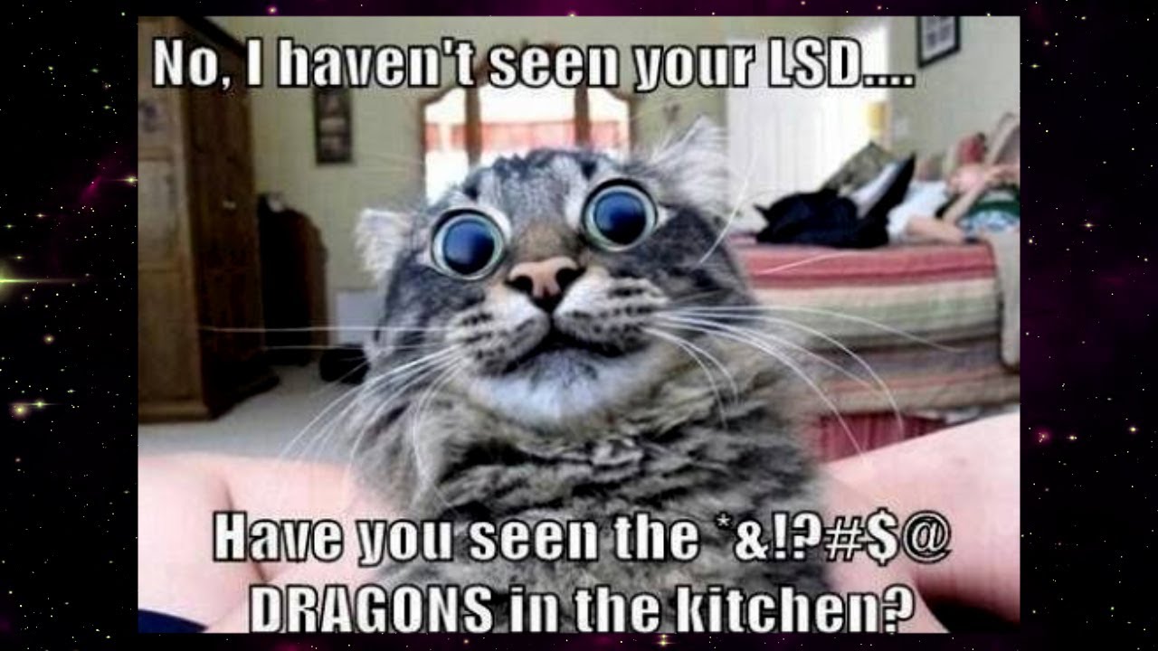 It's meme time with Static - YouTube