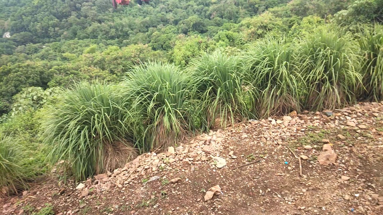 mt. bulaylay cuyapo - YouTube