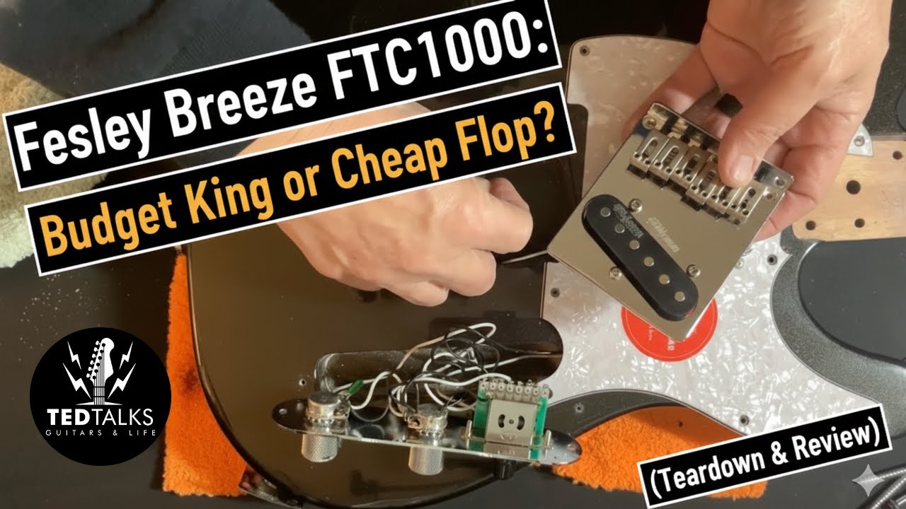 Fesley TL "Breeze Series" FTC1000: Budget King or Cheap Flop? (Teardown ...