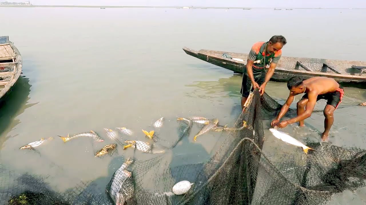 river net fishing video || big net fishing in river - YouTube