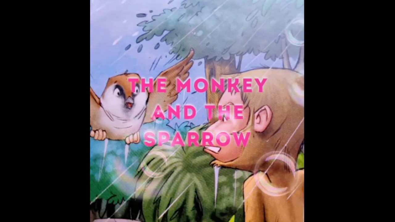Sparrow and Monkey- Story - YouTube