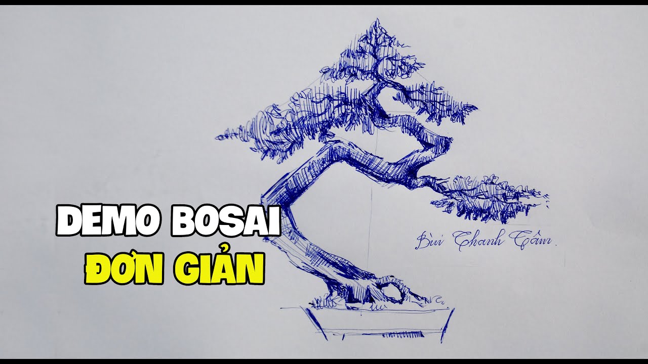 DEMO BONSAI 1 - YouTube