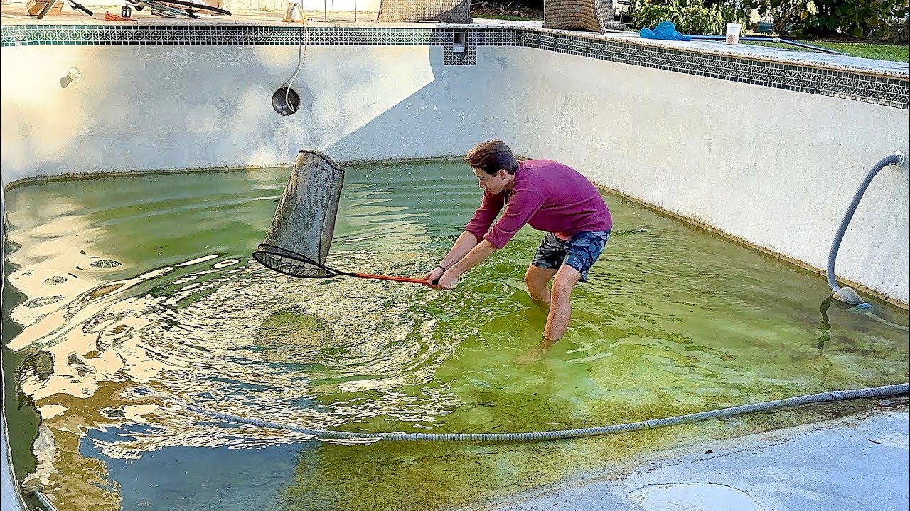 My Pool Is INFESTED with THOUSANDS of DEADLY INVASIVE SPECIES! - YouTube