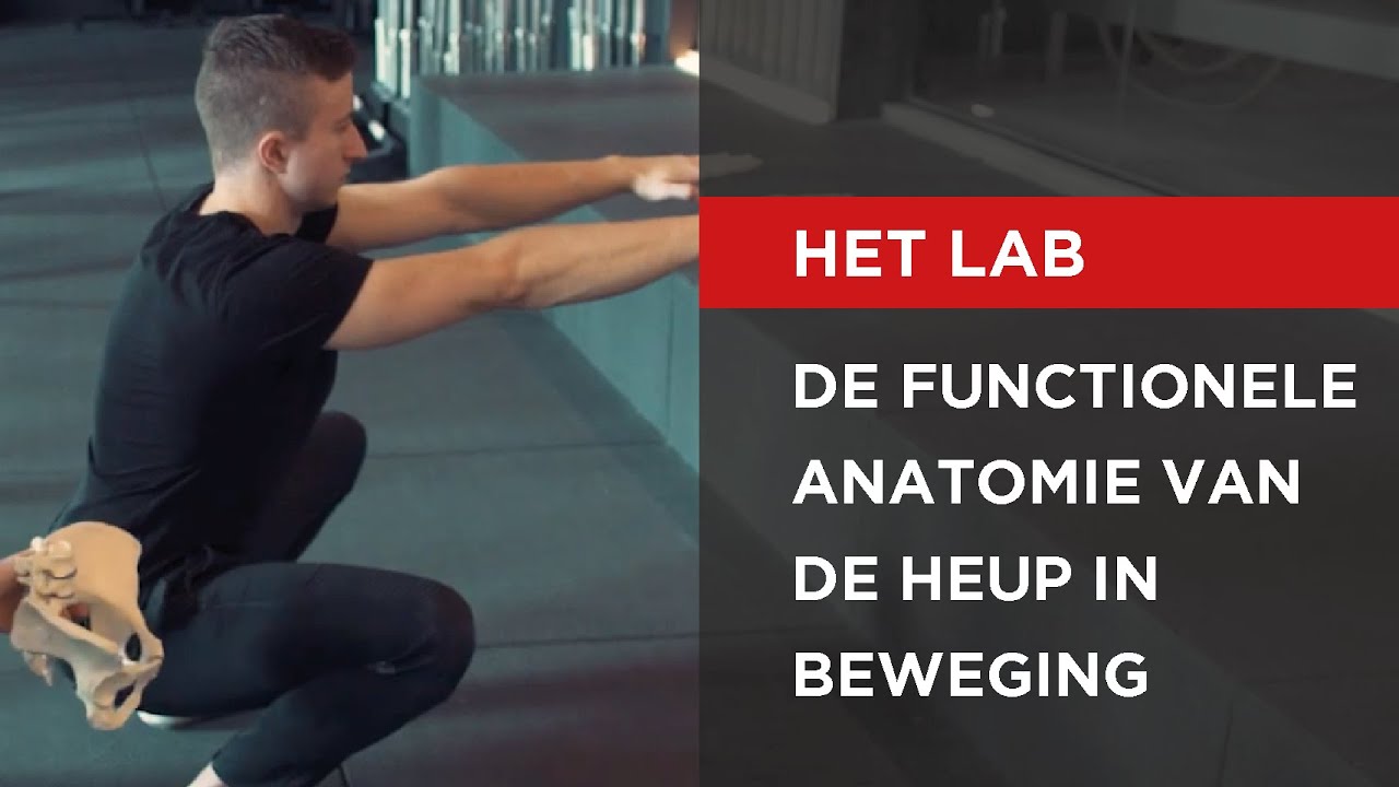 HET LAB | De functionele anatomie van de heup in beweging - YouTube