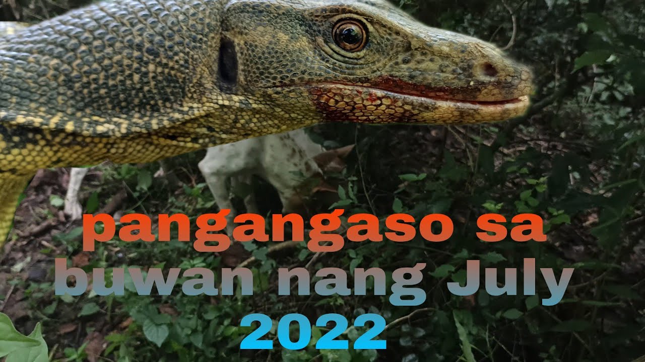 pangangaso sa buwan nang July - YouTube