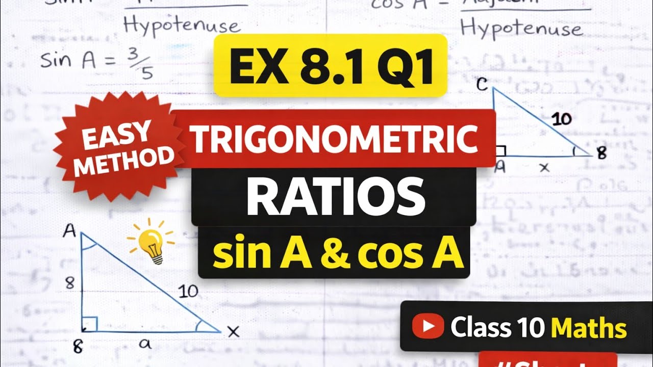 Exercise 8.1 Q1 | Trigonometric Ratios (sin A, cos A) | Class 10 Maths ...