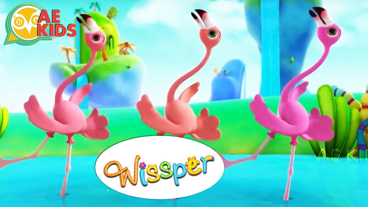 Dancing Flamingo - Song | Wissper | AE(Kids)🎶🎼 - YouTube