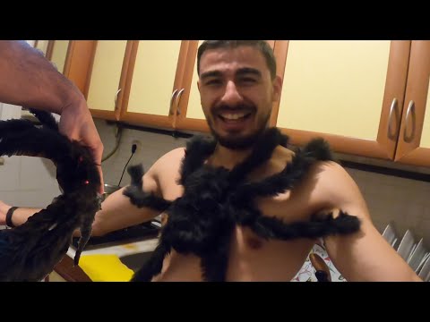 DEV ÖRÜMCEKLE EVDEKİLERİ KIŞKIRTTIM!!