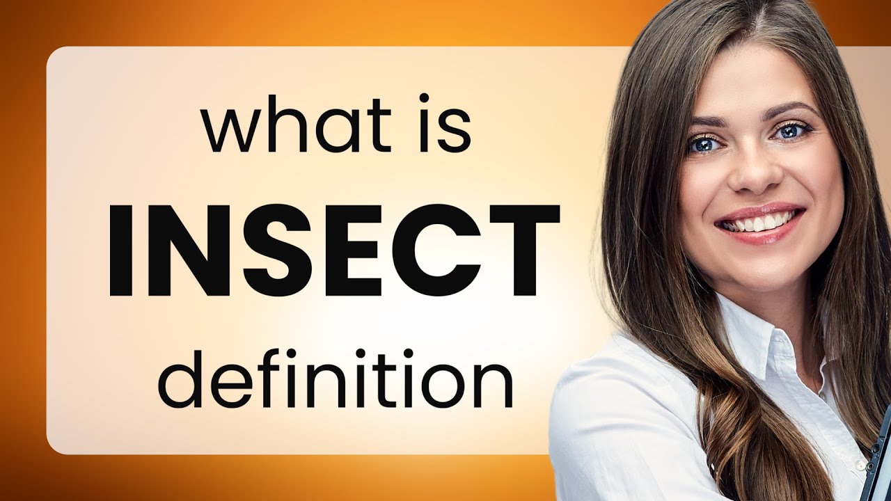 Insect • what is INSECT definition - YouTube