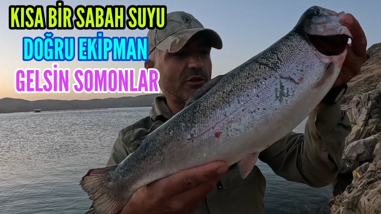 Somon Balığı Nasıl Yakalanır, Salmon Fishing - YouTube