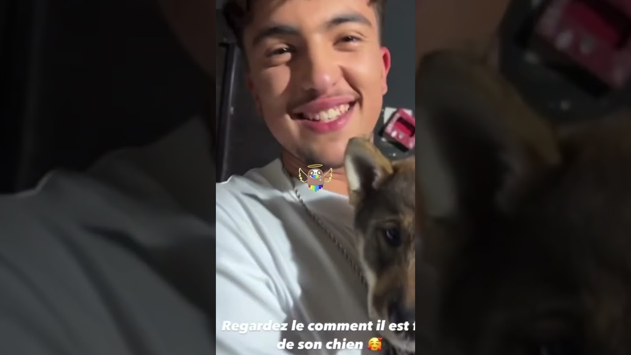 MICHOU RENCONTRE ACE LE CHIEN D’INOXTAG !! 🥹🐶 - YouTube
