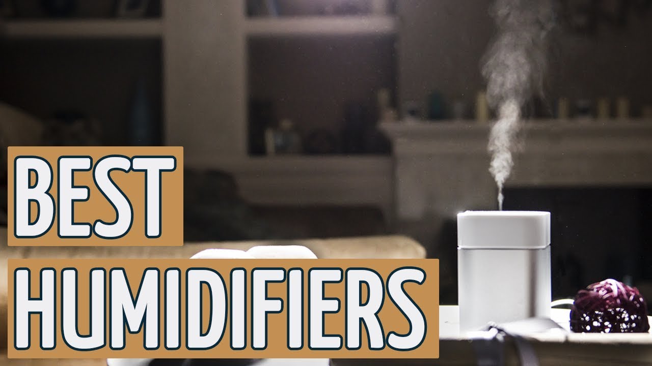 ⭐️ Best Humidifier: TOP 10 Humidifiers 2019 REVIEWS ⭐️ - YouTube