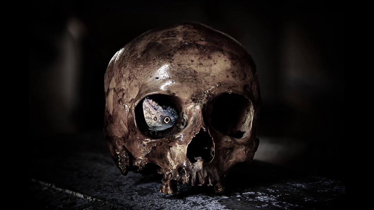 "Mottephobia" - YouTube