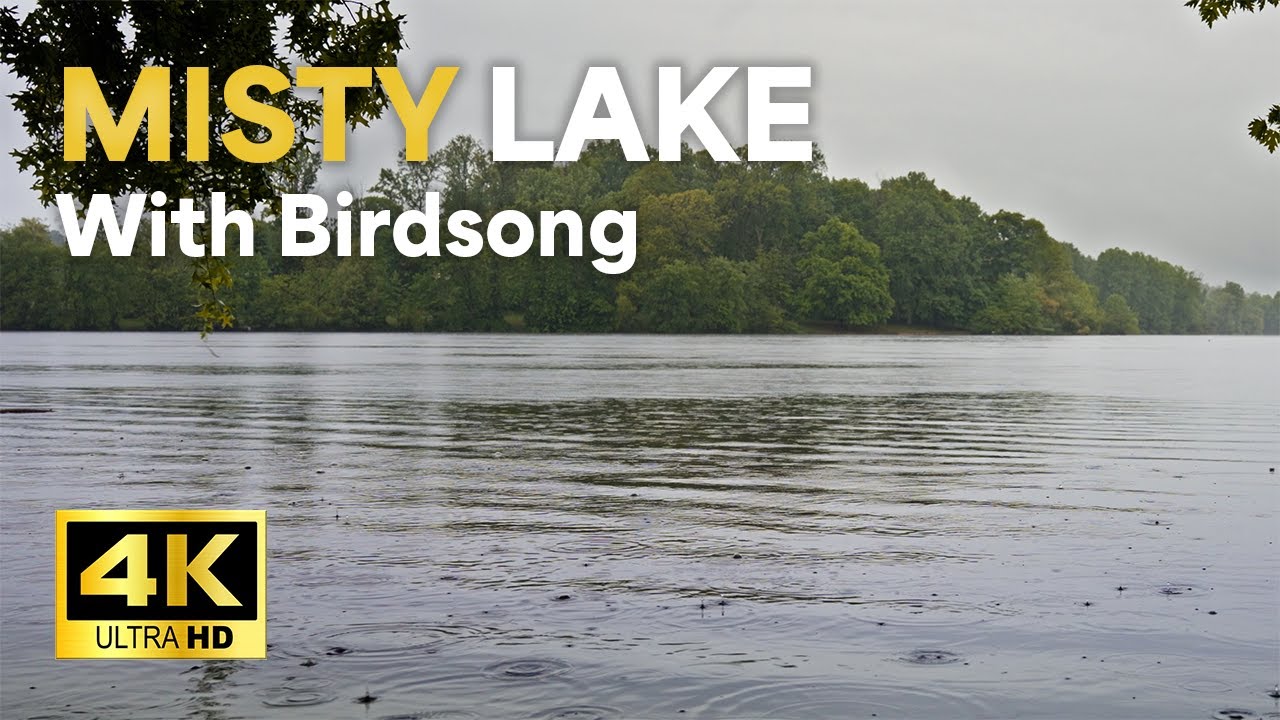 4K Misty Lake 8 Hours - Nature Ambience and Birdsong for Relaxation ...