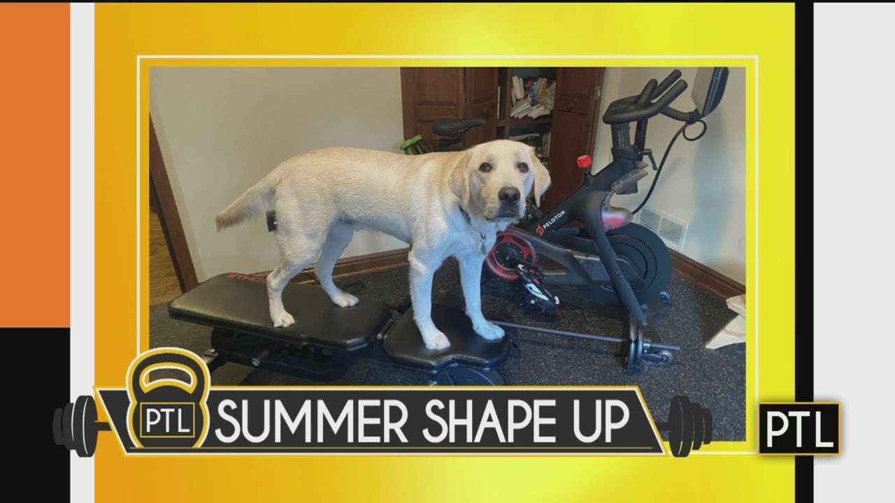 PTL Summer Shape Up: Penguin Exercises - YouTube