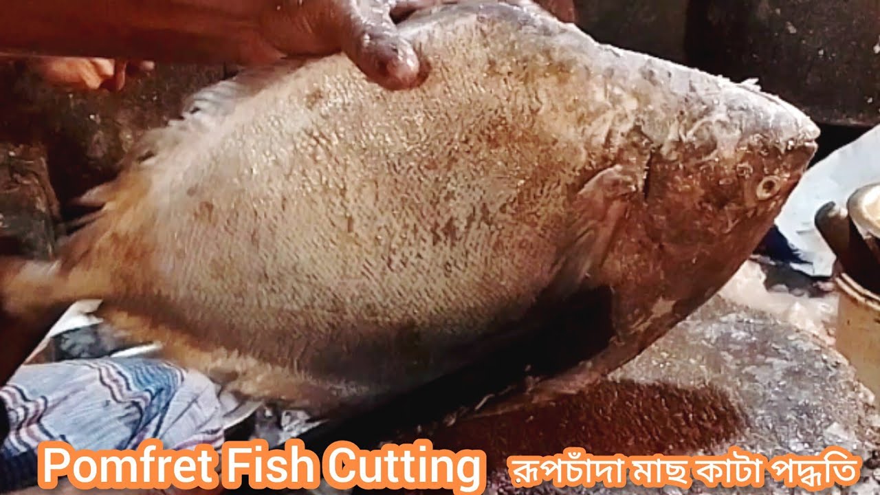 Pomfret Fish Cutting and Cleaning | fish cutting skills | rupchada mach ...