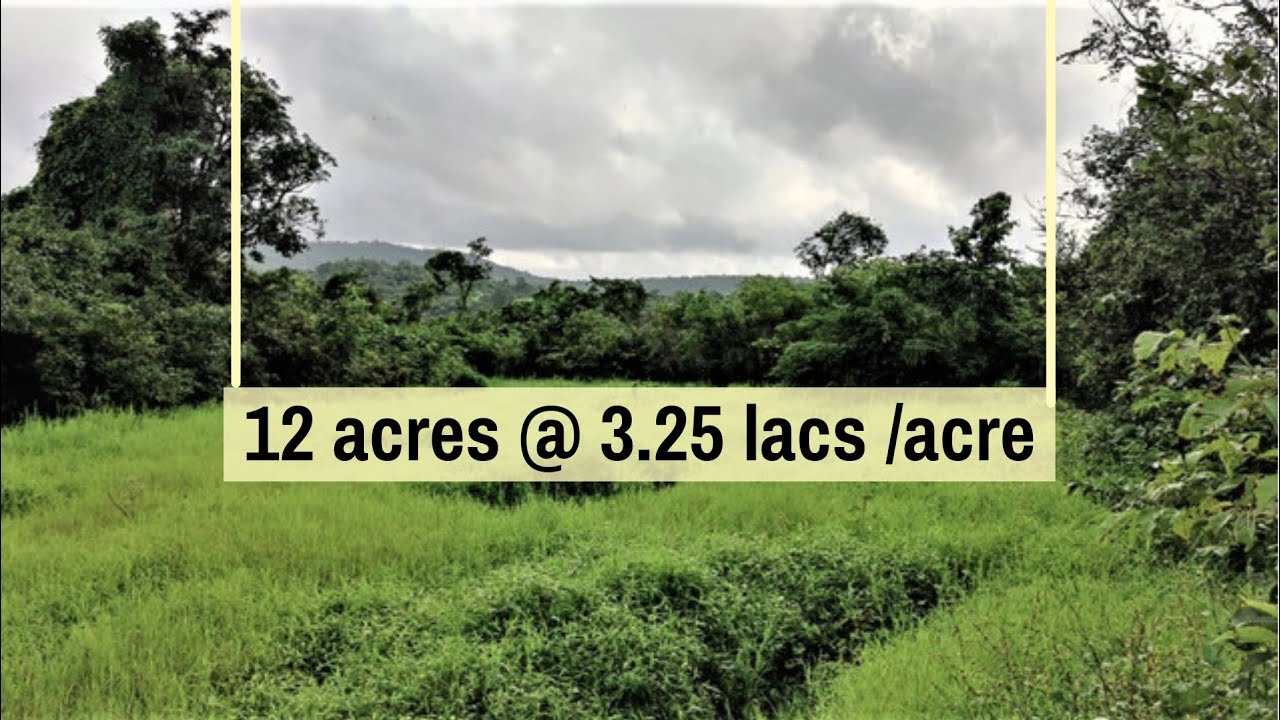 ID 145/16 The 12 acres agriculture land in Taluka Mandangad Dist ...