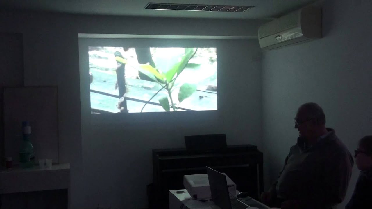 Atelier de complexitate pentru grupa de 10-13 ani cu domnul profesor ...