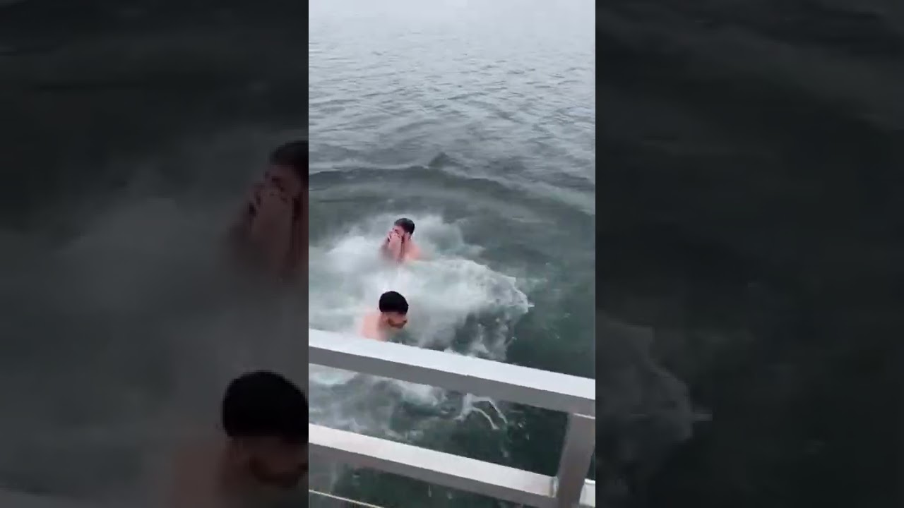 4 Funniest fail video ever Try Not to Laugh Challenge Funny Fails ...