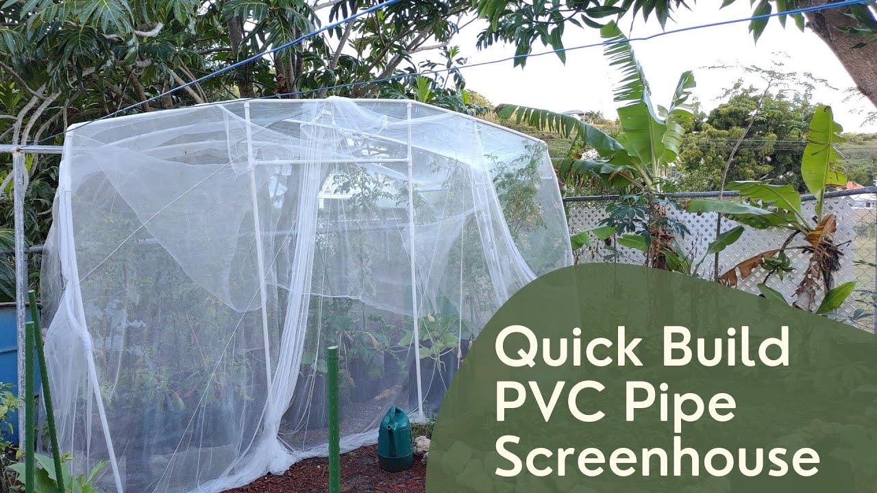 Quick Build PVC Pipe Screenhouse - YouTube