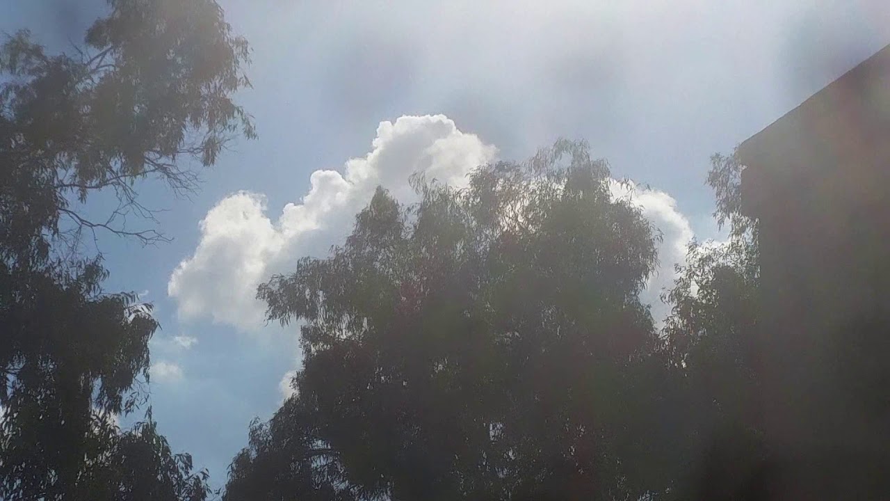 Mono - Due Foglie, una Candela: il Soffio del Vento - YouTube