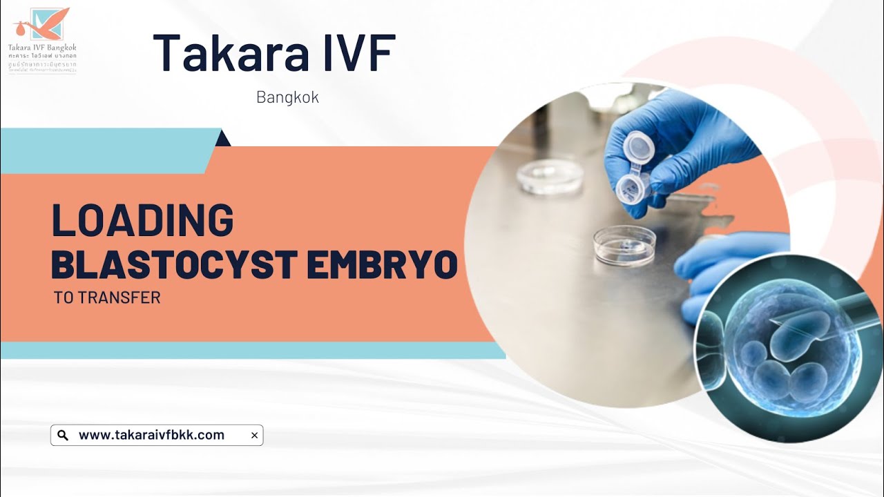 Loading Blastocyst Embryo Before Transfer - YouTube