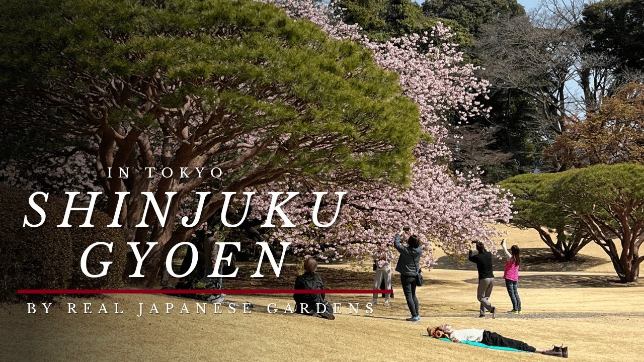 SHINJUKU GYOEN in Tokyo by Real Japanese Gardens 2024 4K HD - YouTube
