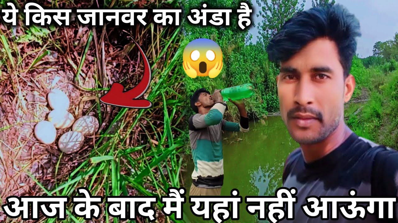 ये किस जानवर का अंडा है 🤔// आज के बाद मैं जंगल नही आऊंगा #Sebu khan ...