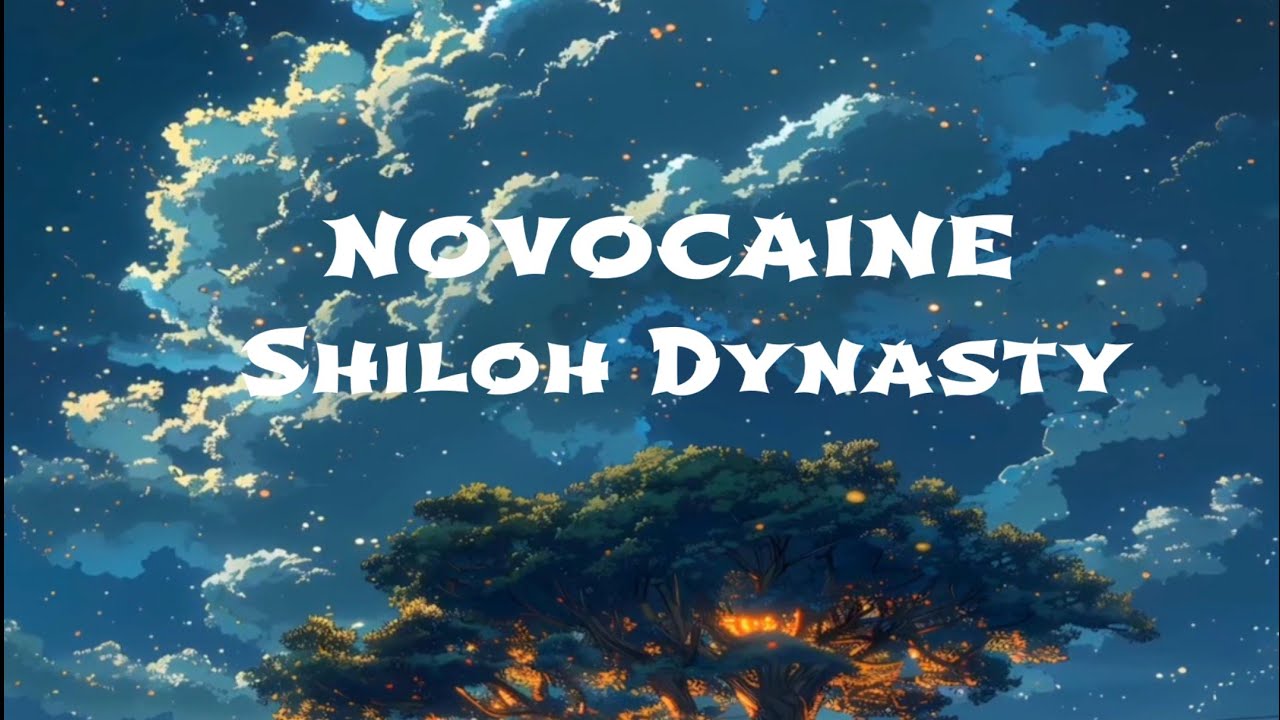 Novocaine.Shilo;Dynasty Lyrics - YouTube