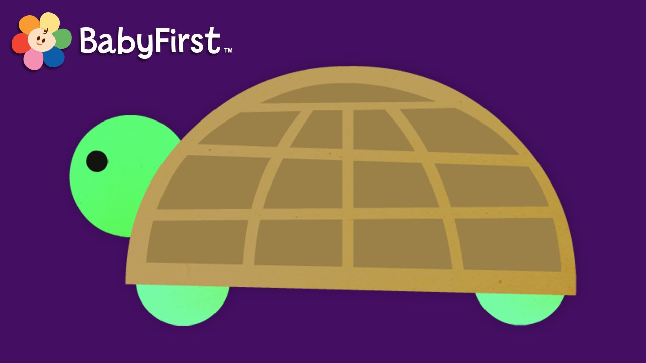 Turtle Learning Shapes For Toddlers Shape A Majigs BabyFirst TV Turtle Learning Shapes For Toddlers Shape A Majigs BabyFirst TV