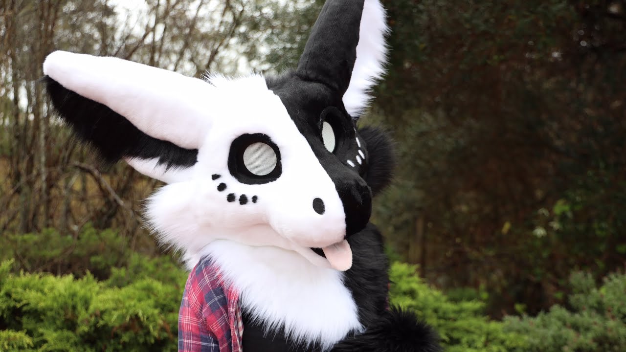 Stormy the Dutchie ~ FURSUIT FEATURE - YouTube